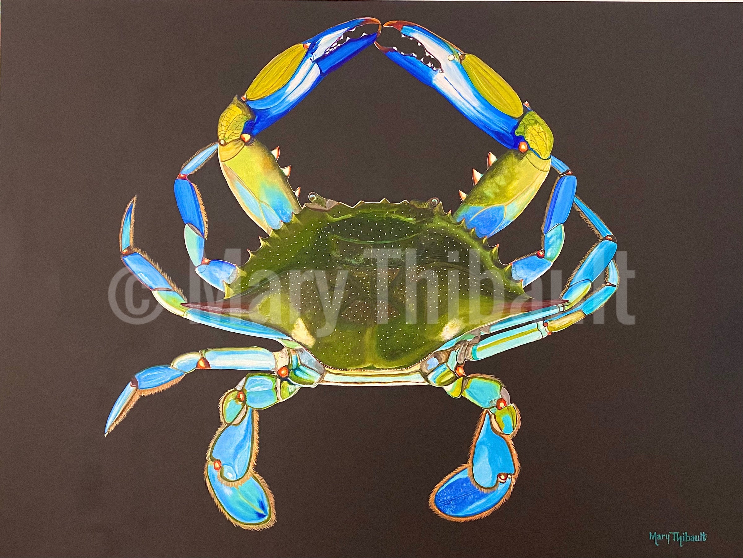 Big Blue Crabs